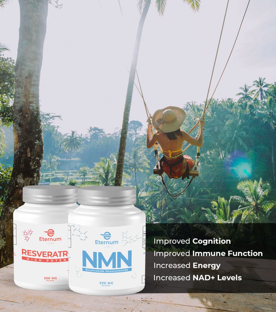 Eternum Labs Review – Resau